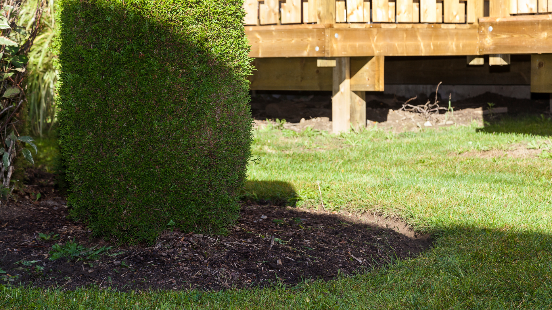 Mulch Madness: 5 Benefits of Mulching - TLC Landscaping Design & Pools